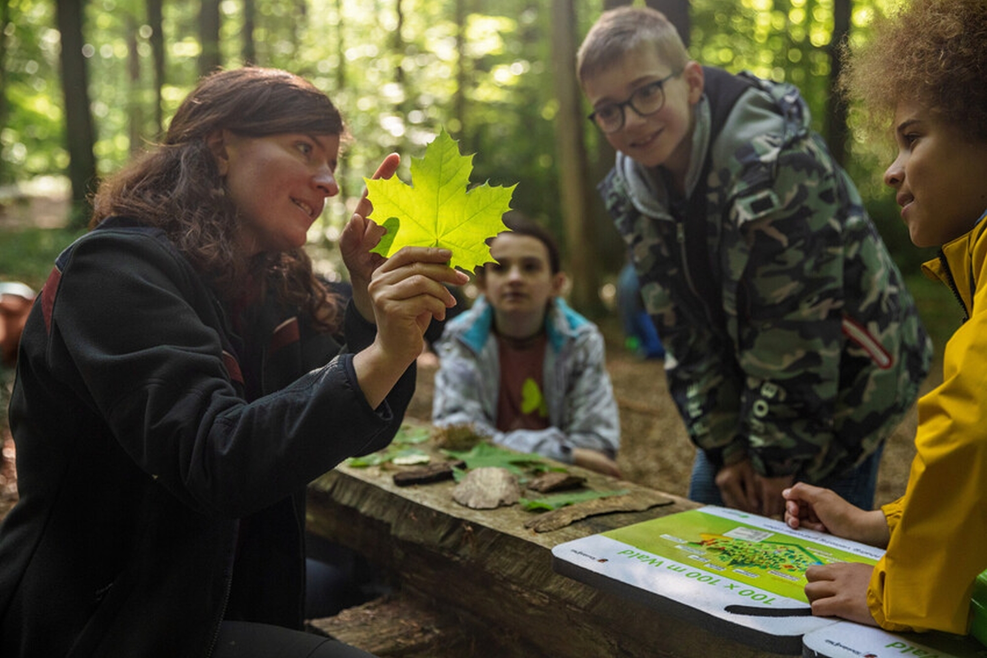 Nachhaltig bedeutet... Gemeinsam für den Wald! - Kreis Trier-Saarburg ...